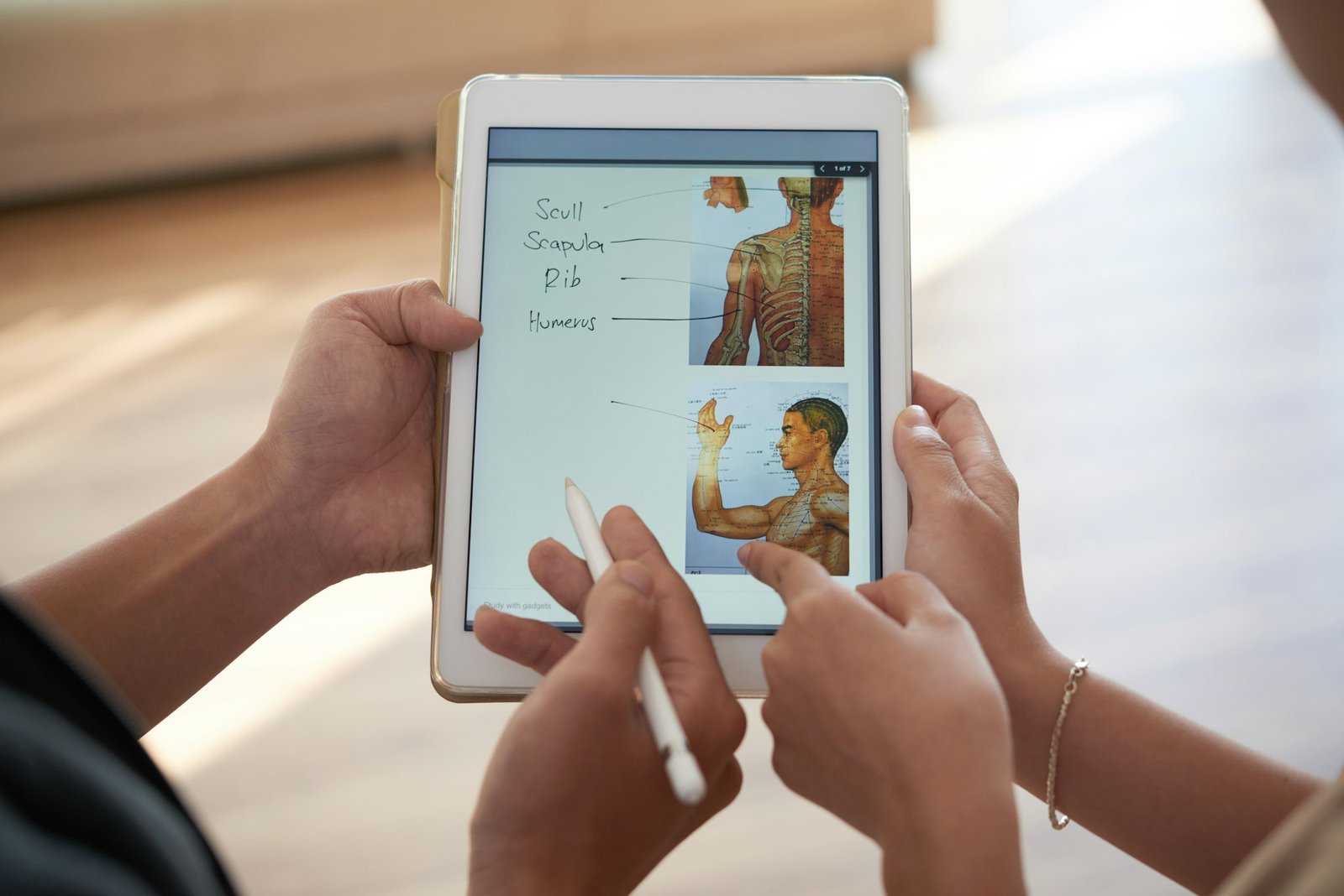 COLUMN - CEOL Academy JAPAN